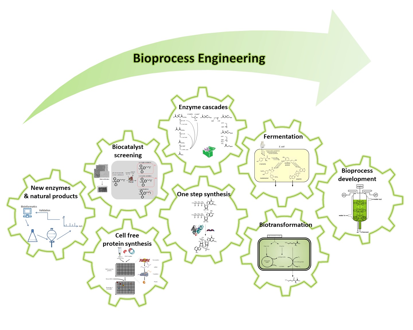 Laboratory of Bioprocess engineering - BIO - TU Dortmund